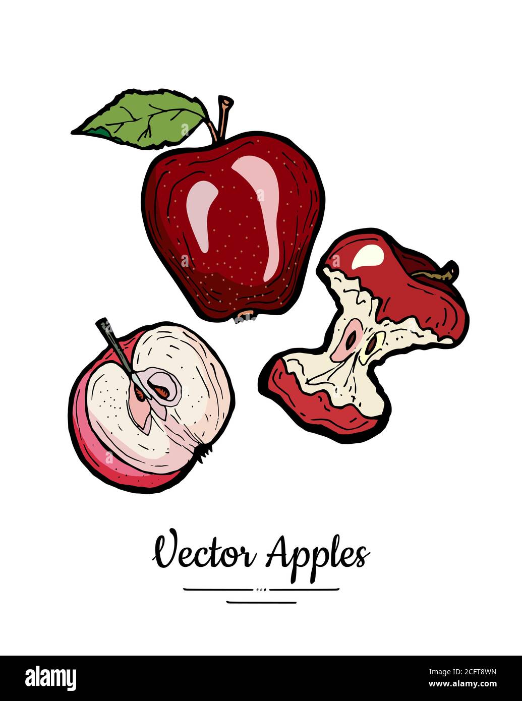 Apples vector isolated set. Whole half cut apples core leaf. Red fruit ...