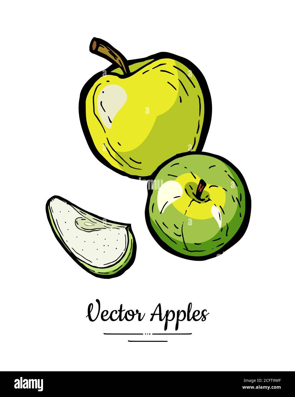 Apples vector isolated. Whole cut apples. Yellow green fruits hand ...