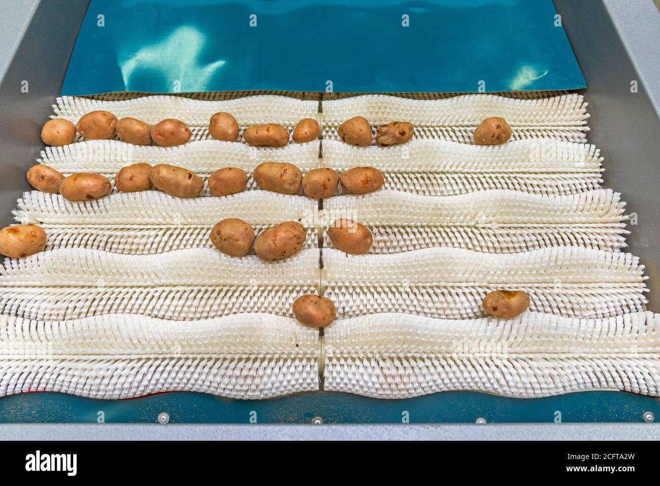 Potato Cleaning Machine Food Production Factory Stock Photo - Alamy
