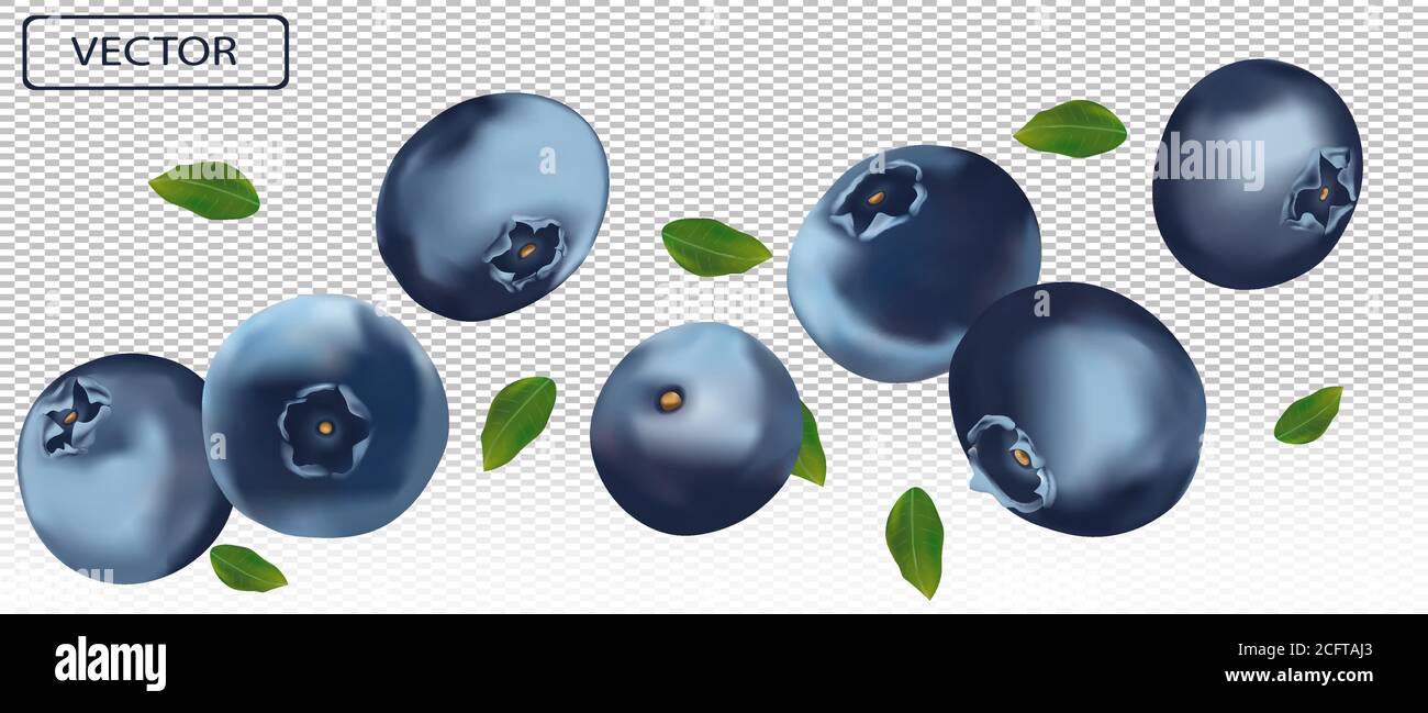 3D blueberry with green leaf. Juicy ripe berry blueberries on a ...