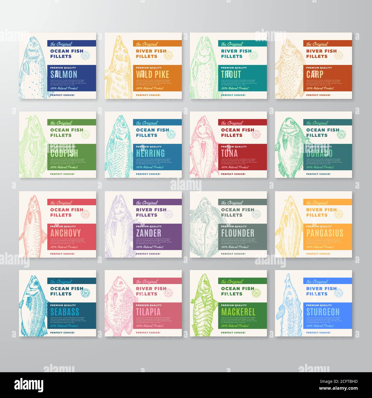 Pangasius pangasius Stock Vector Images - Alamy