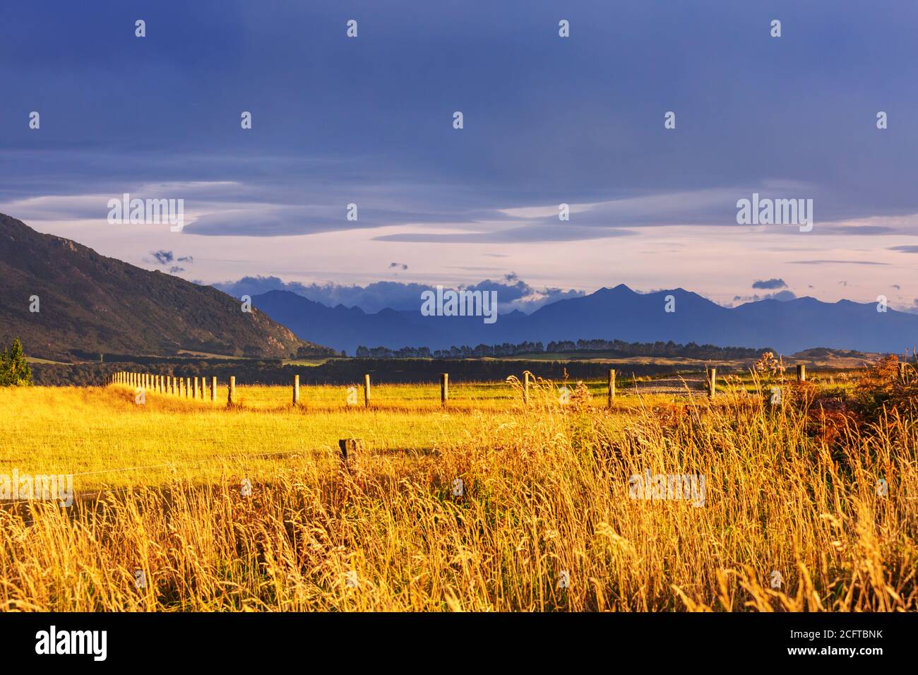Beautiful rural landscape of the New Zealand at sunrise Stock Photo - Alamy