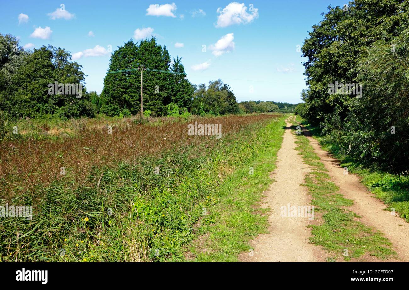 A footpath by a dry section of the old North Walsham and Dilham Canal ...