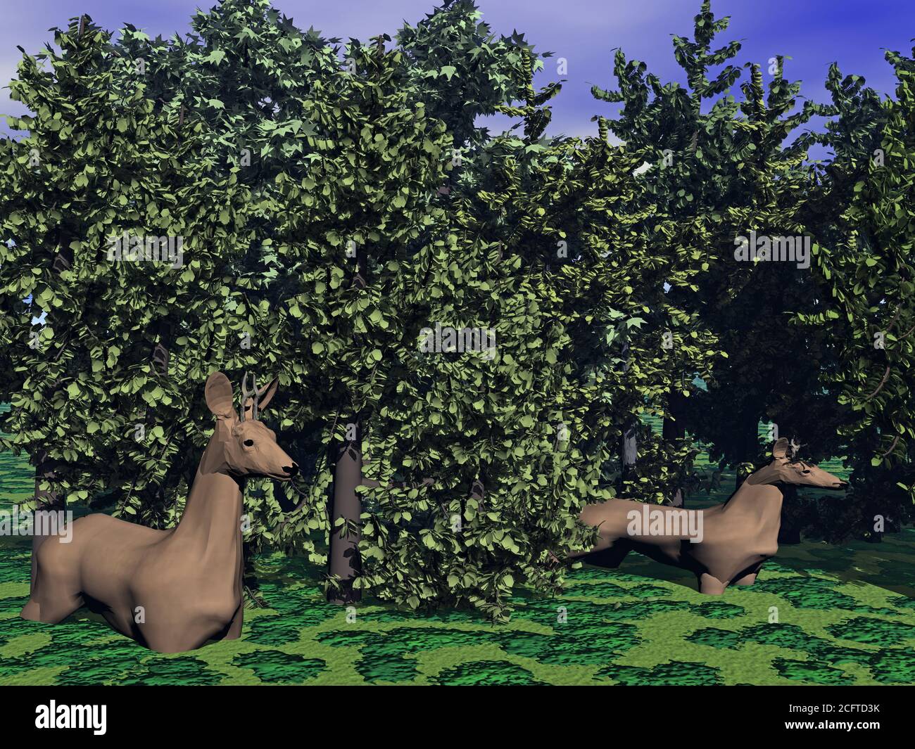 Rehe hi-res stock photography and images - Alamy Rehe hi-res stock photography and images - Alamy