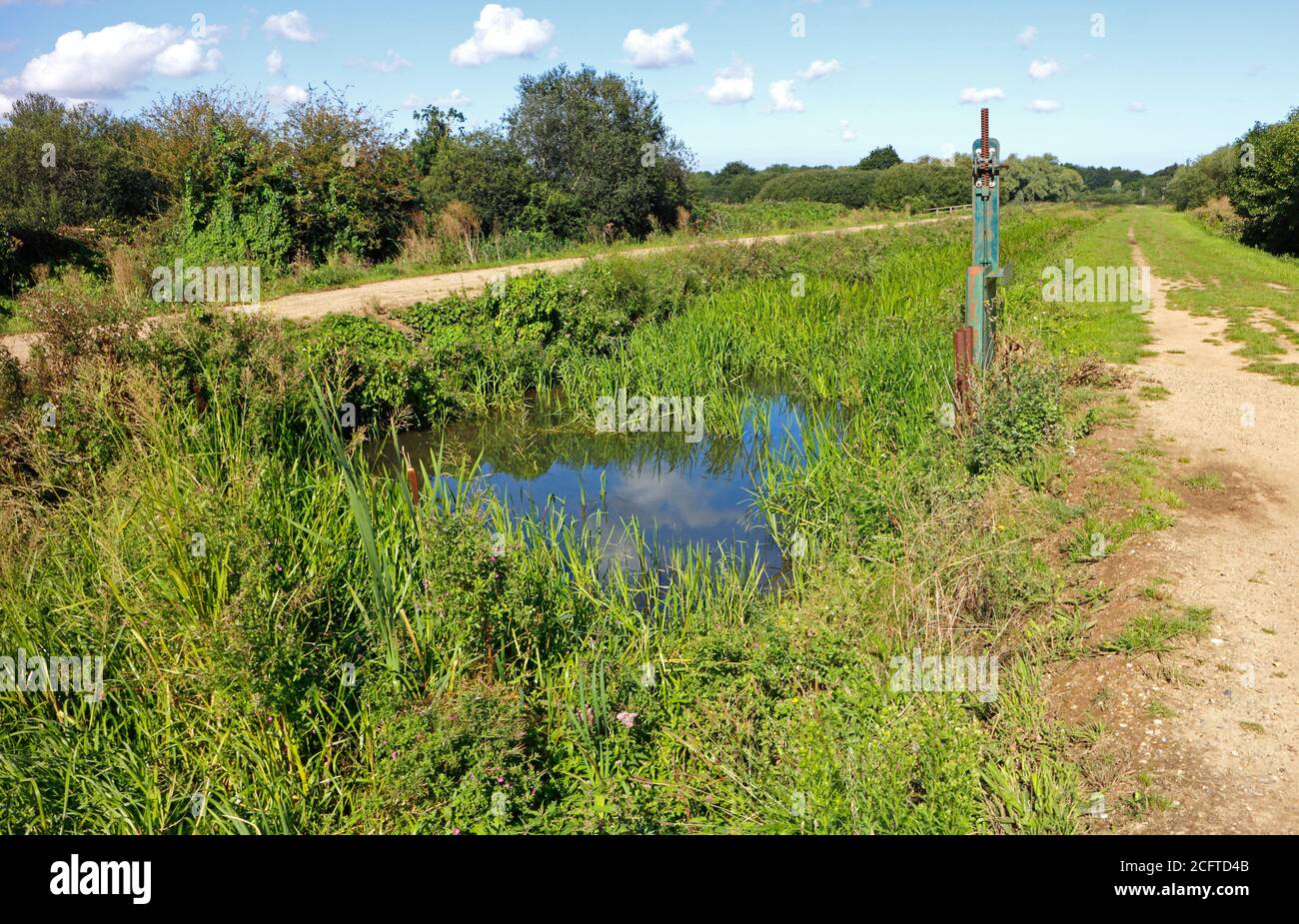 An overgrown section of the disused North Walsham and Dilham Canal with ...