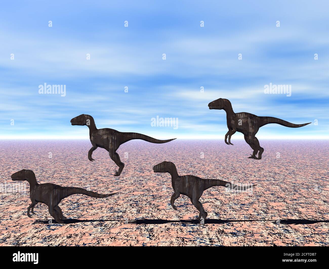 Land raubtiere hi-res stock photography and images - Alamy