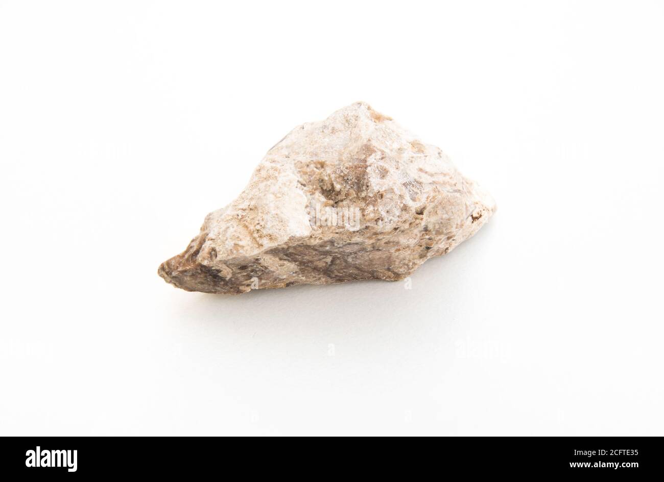 detail of cyanophyta fossil isolated over white background Stock Photo ...