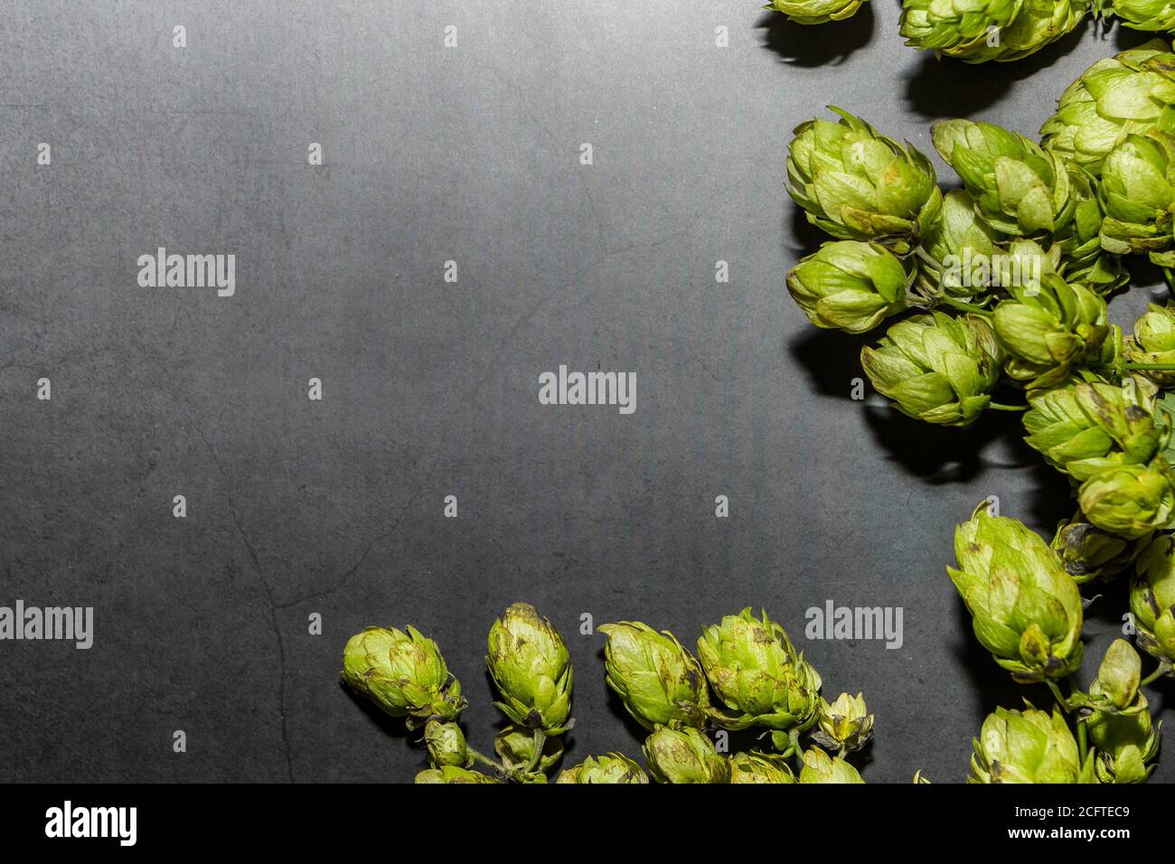 Beer production brewing brewery making hi-res stock photography and ...