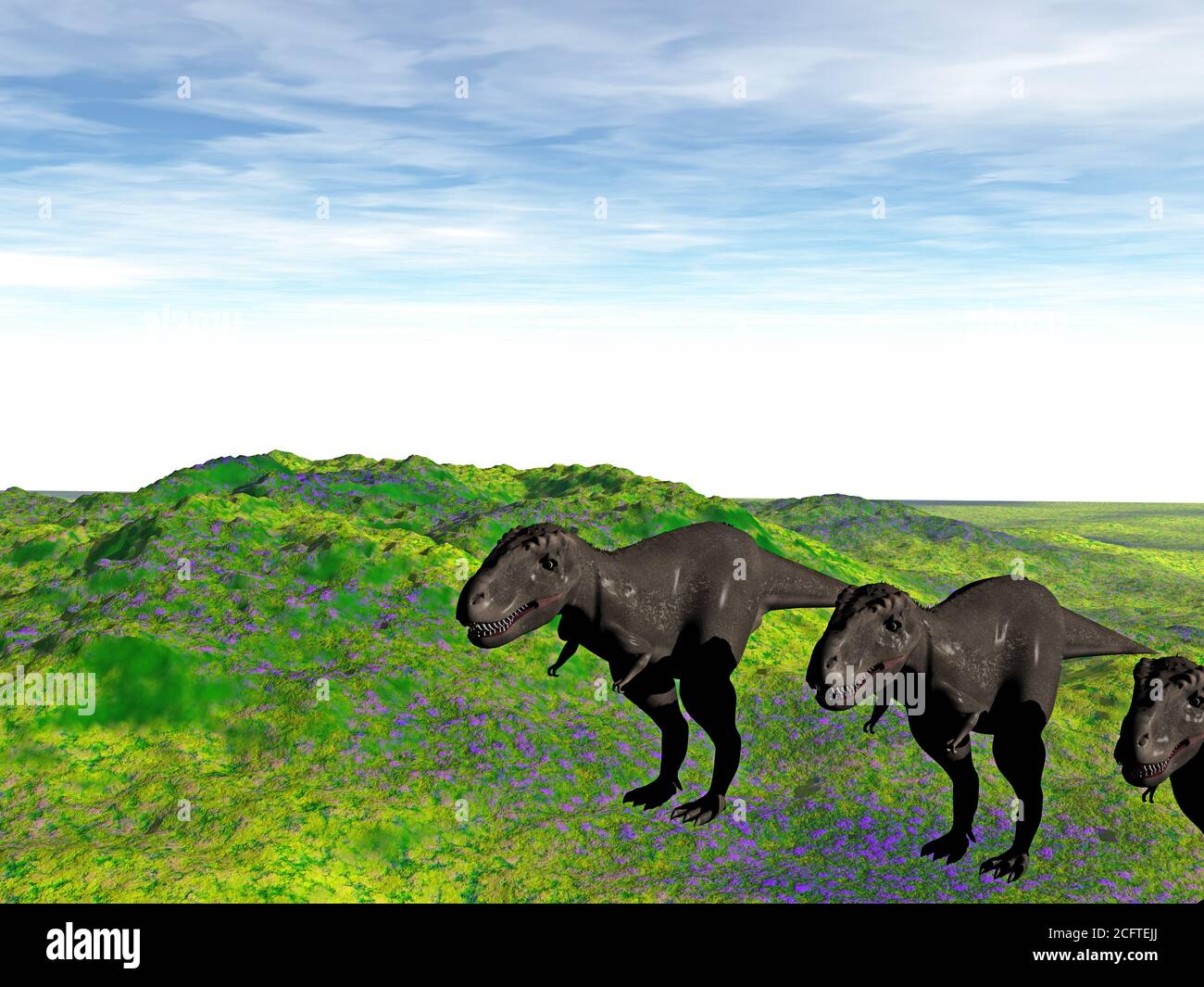 Land raubtiere hi-res stock photography and images - Alamy