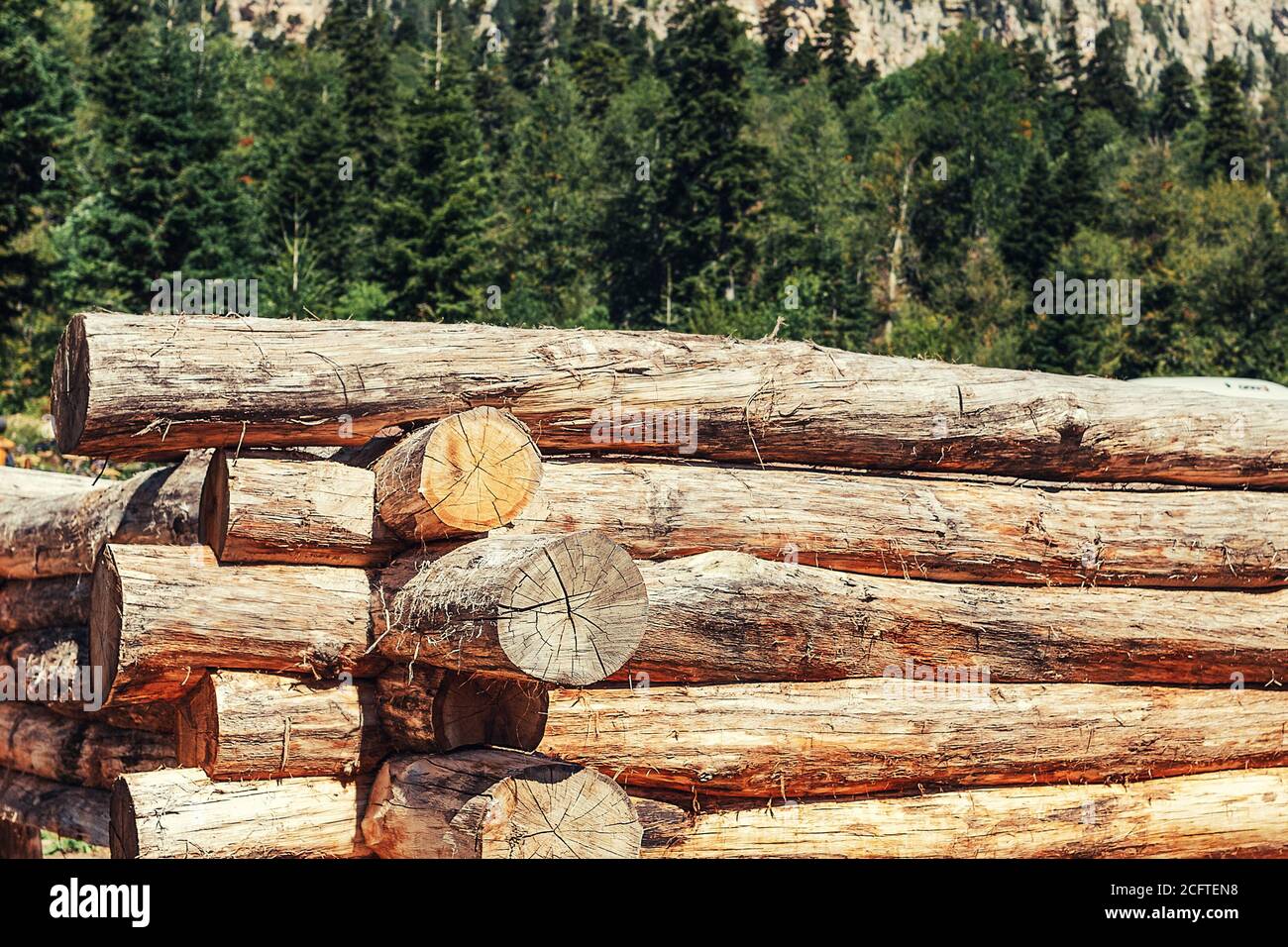 Timber structures hi-res stock photography and images - Alamy