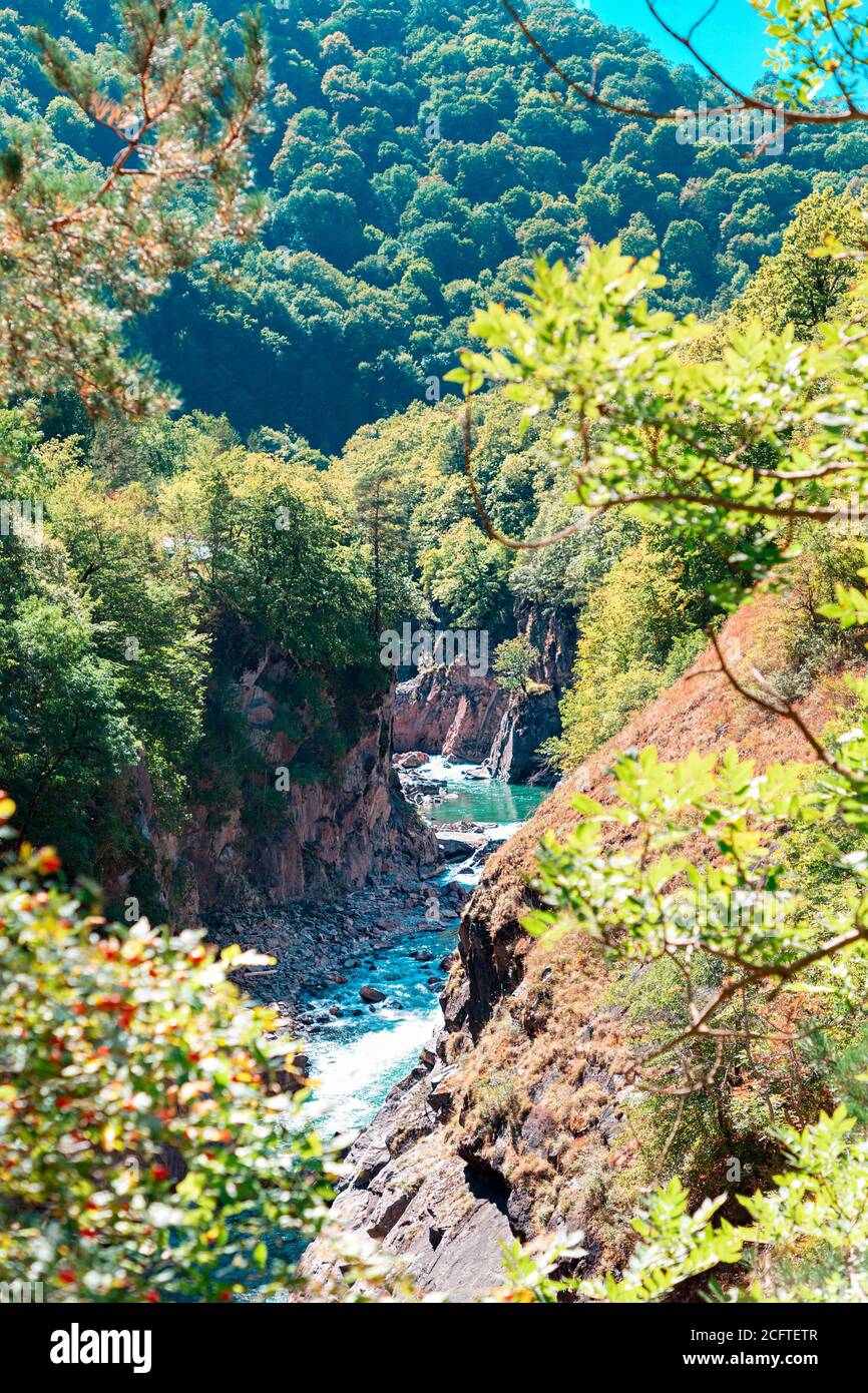 Tara moss hi-res stock photography and images - Alamy