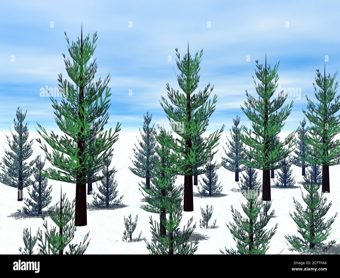 Winterlandschaft im Nadelwald Stock Photo - Alamy