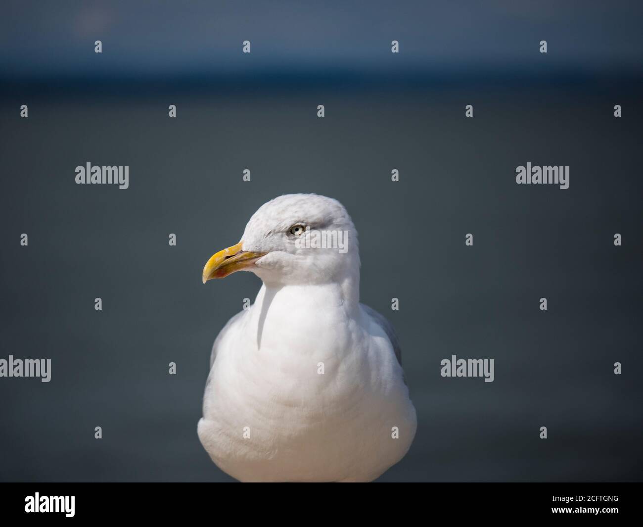Iconic symbols hi-res stock photography and images - Alamy