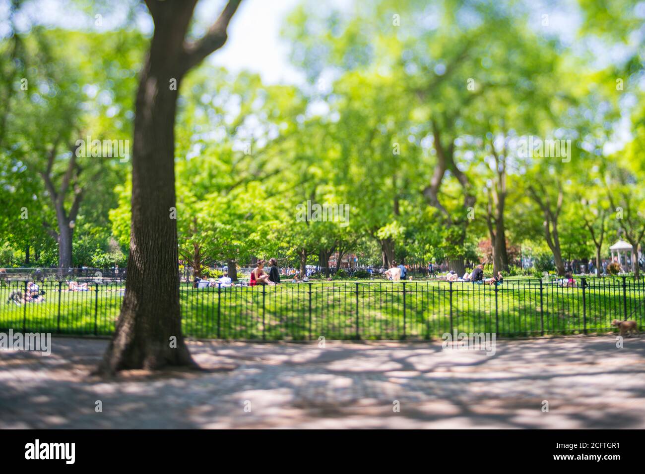 People relax on the lawn in Tompkins Square Park at New York City Stock ...