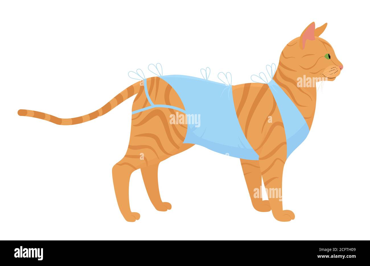cat bandage after surgery vector illustration. cartoon ginger tabby cat ...