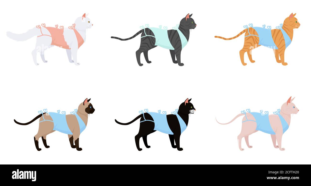 cat in bandage after surgery set. cartoon cats different breeds after ...