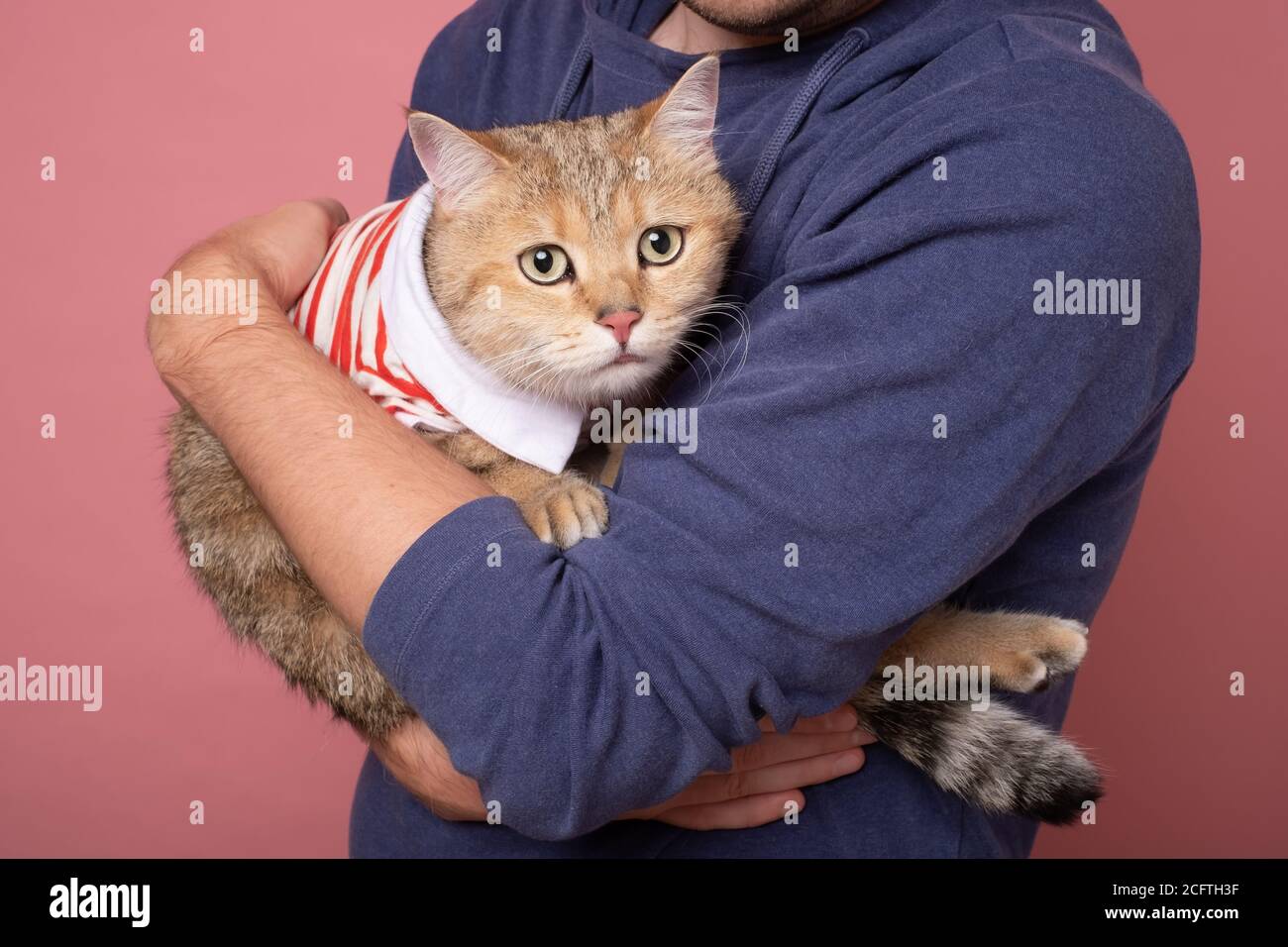Person afraid of cat hi-res stock photography and images - Alamy