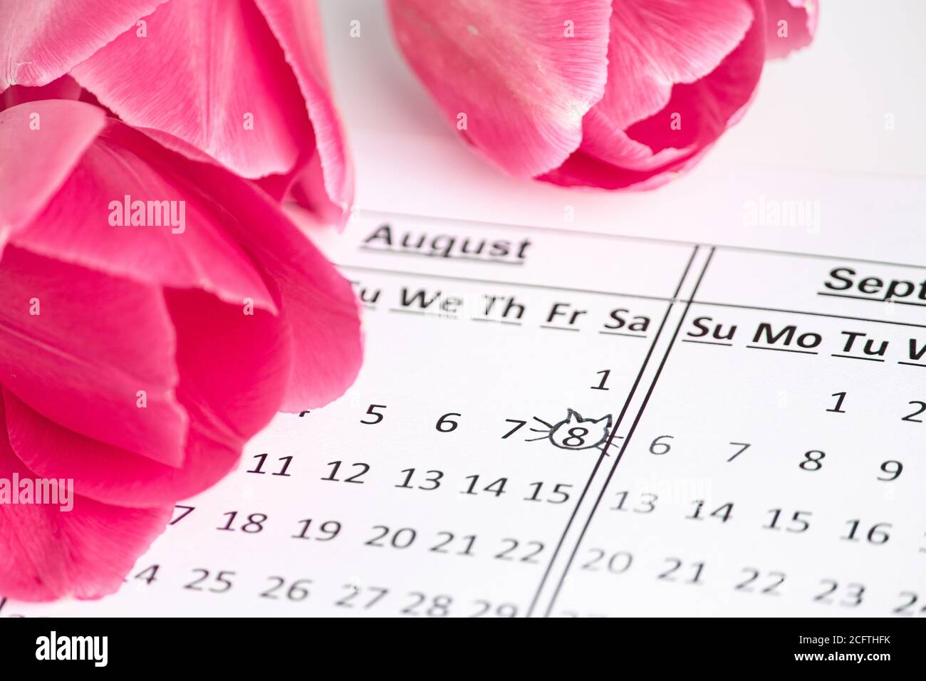 International day of happiness hi-res stock photography and images - Alamy