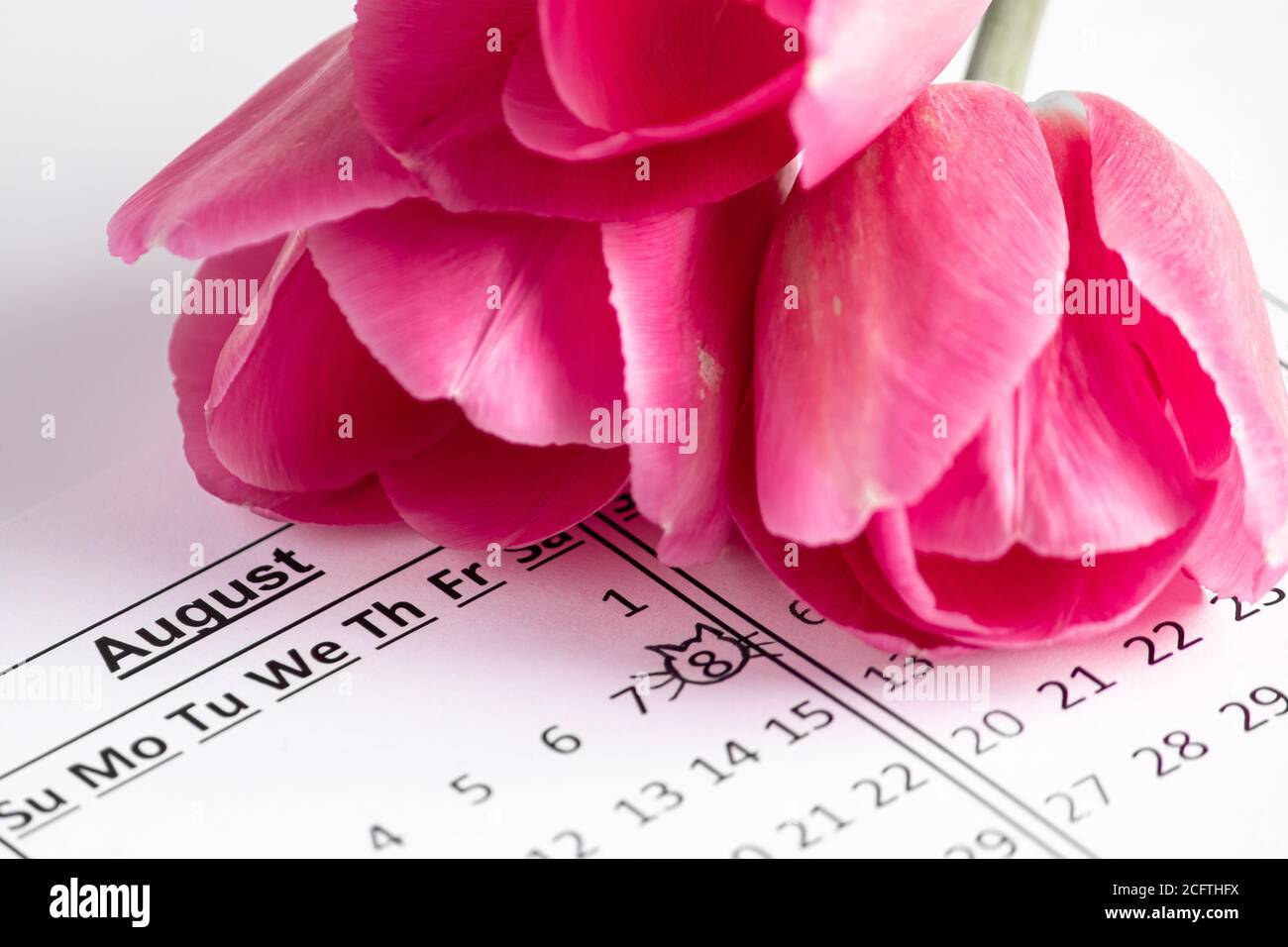 August birth month flower hi-res stock photography and images - Alamy