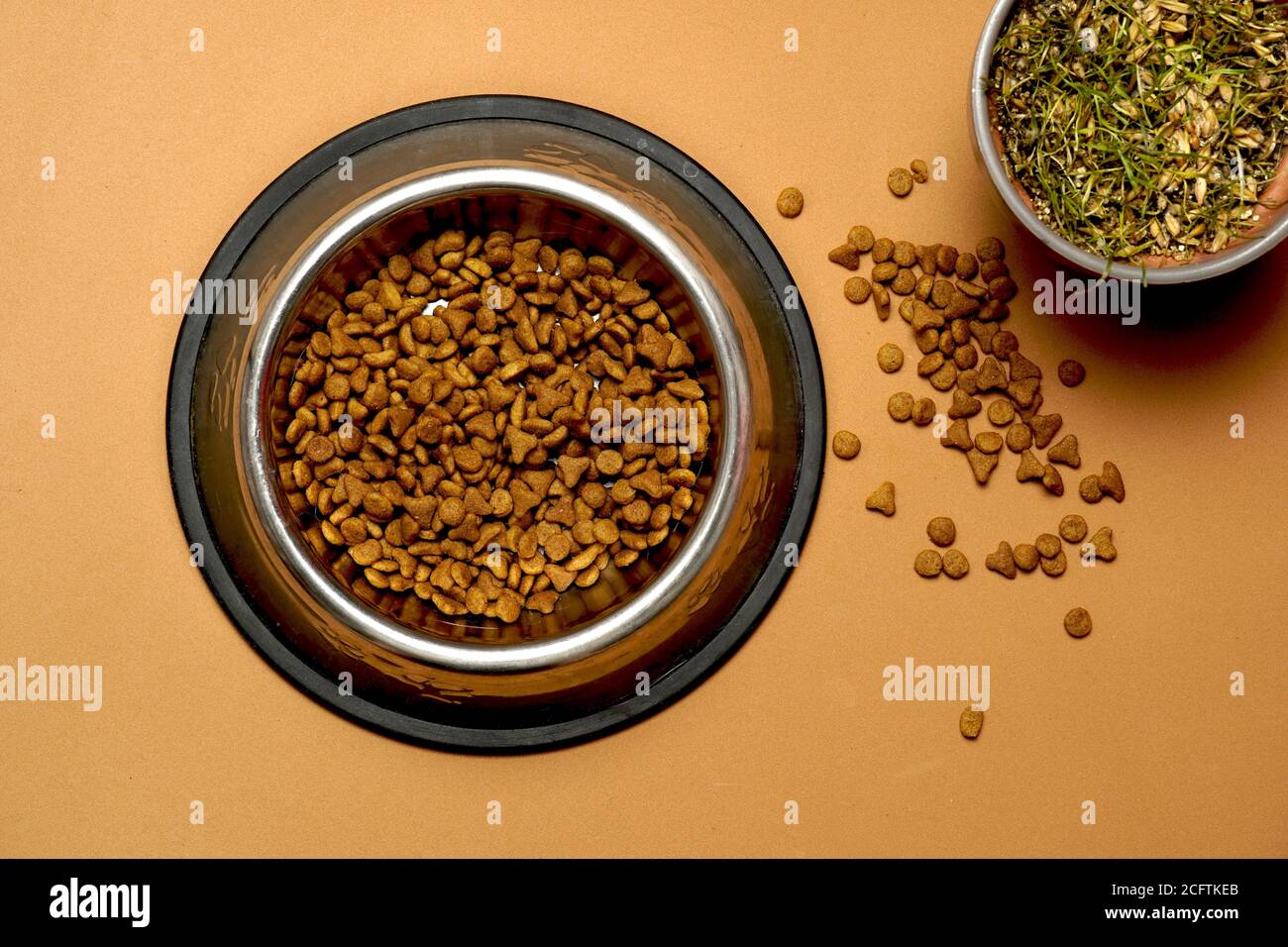 top view cat food next to catnip. flat lay flat design Stock Photo - Alamy
