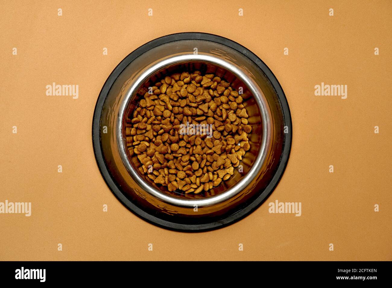 top view cat food inside feeding bowl. flat lay flat design Stock Photo ...