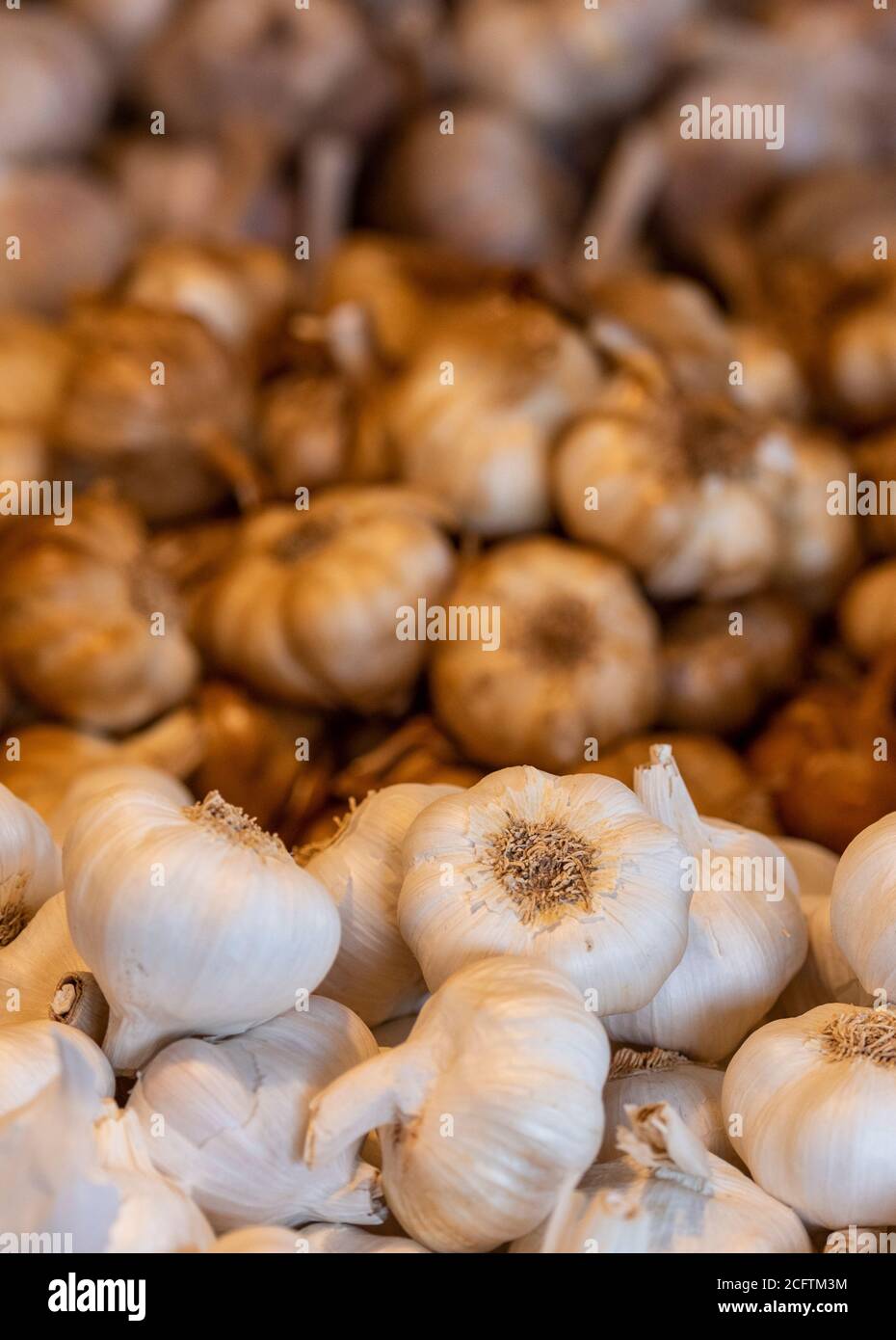fresh garlic on display at a market at the garlic farm in newchurch on ...