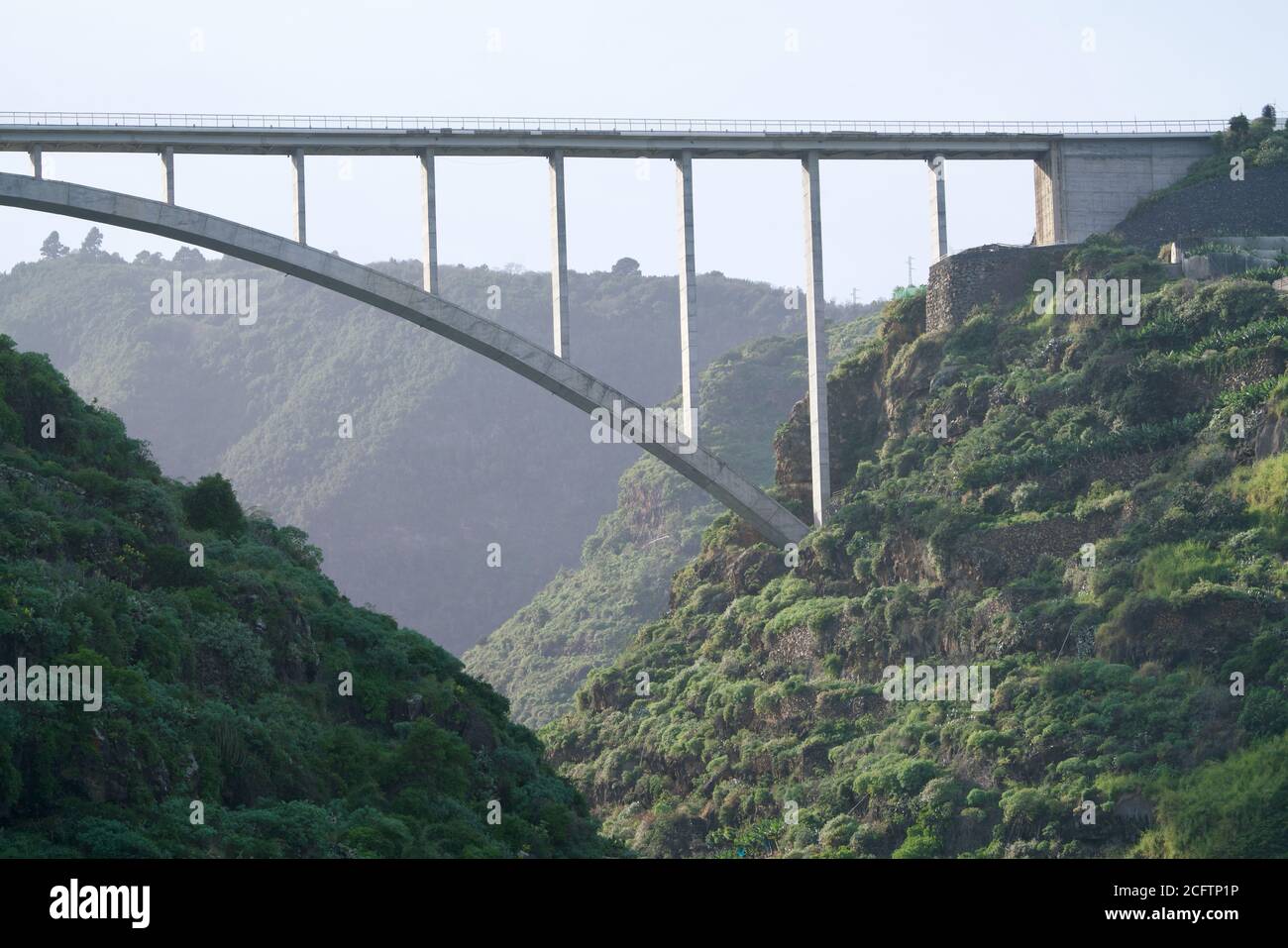 Palma de agua hi-res stock photography and images - Alamy