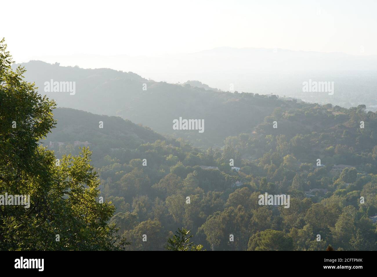 Beautiful scenery of trees growing on the mountain slope Stock Photo ...