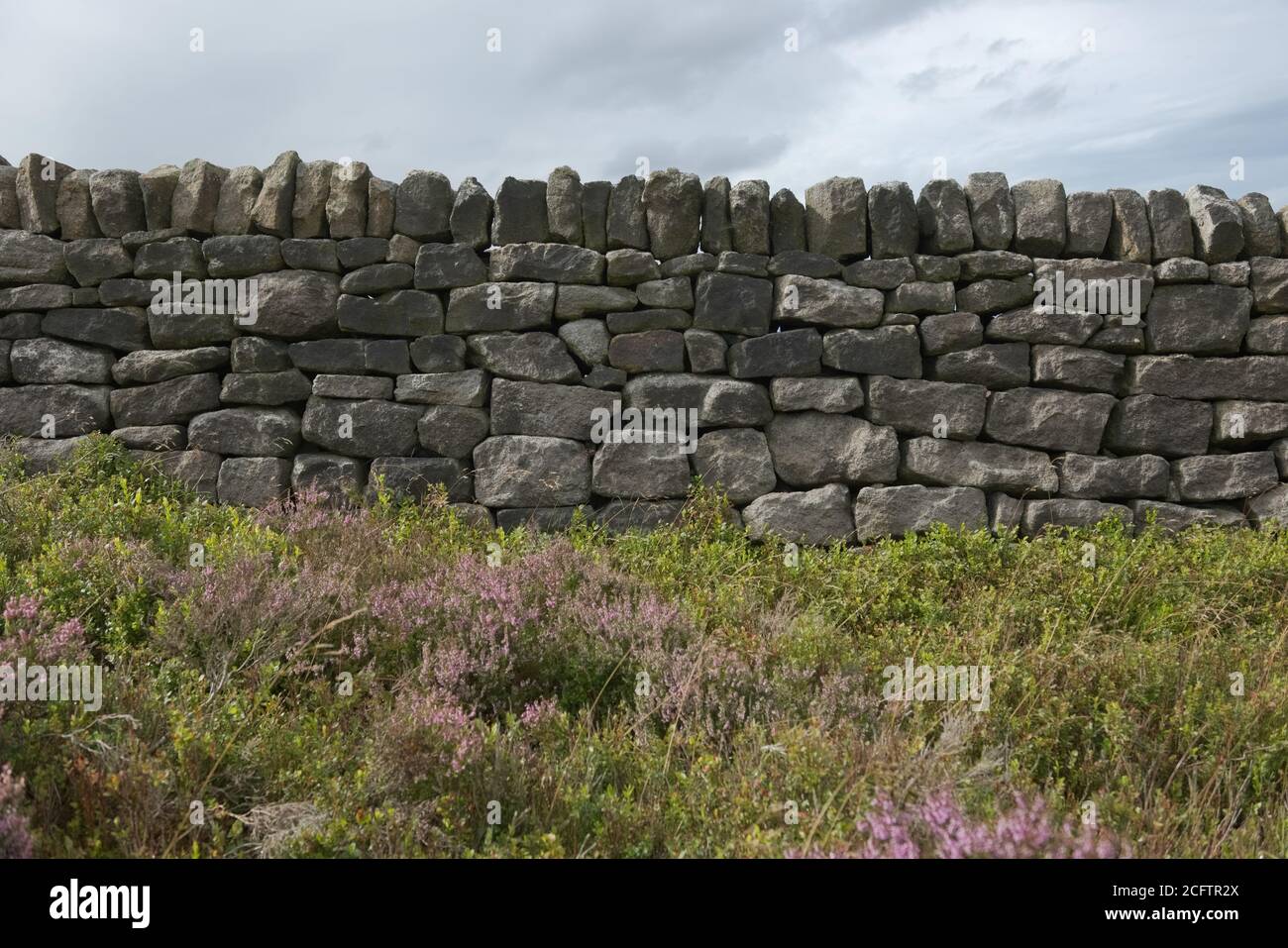 Hard and soft texture hi-res stock photography and images - Alamy
