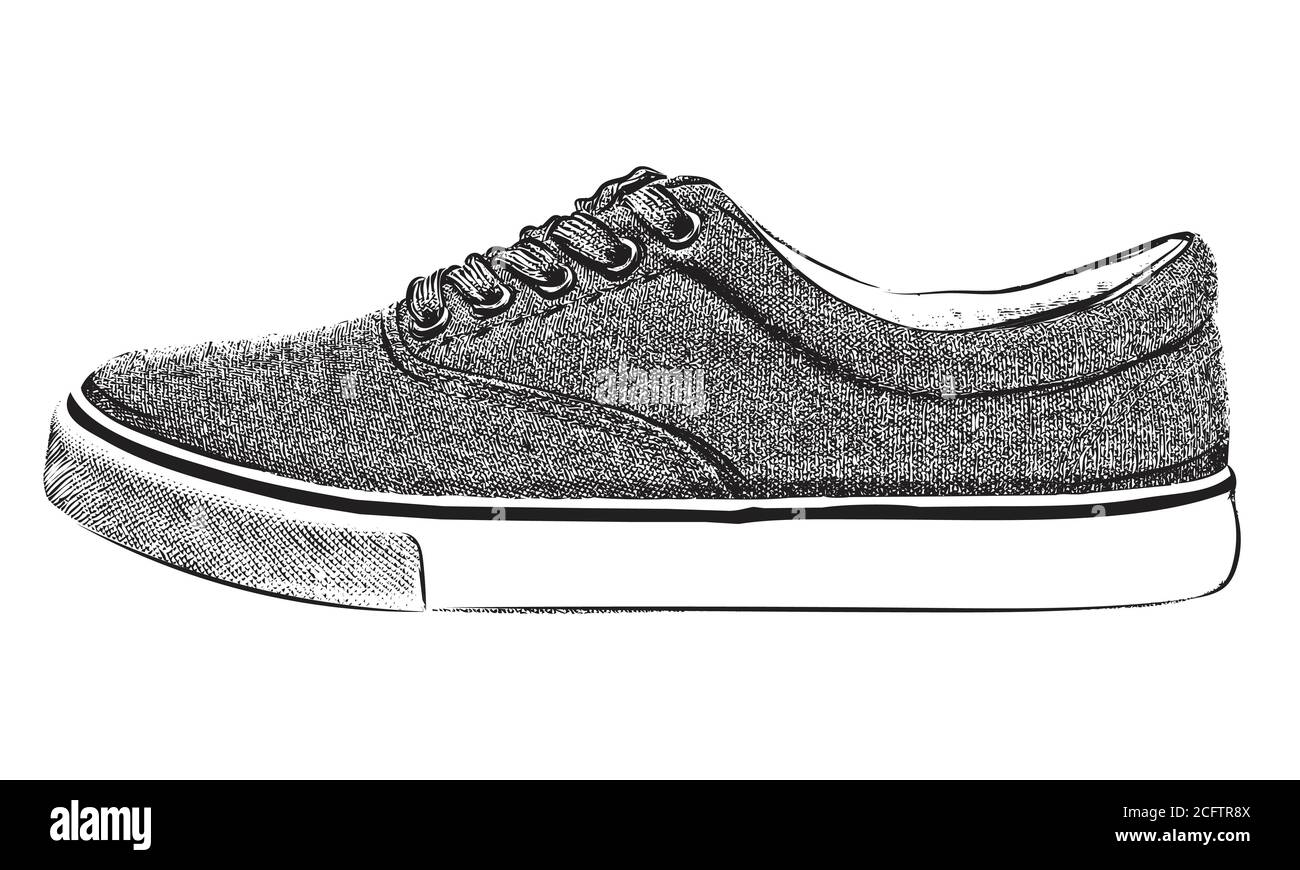 Hand drawn sneakers shoe. Isolated vector illustration. Vector Stock ...