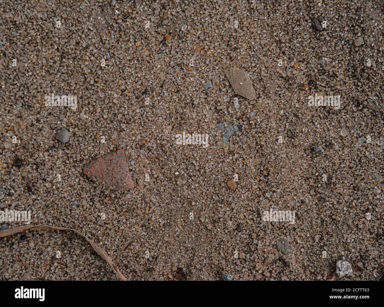 Calibrated Quartz Sand. Macro. Clean granules. Natural material. High ...