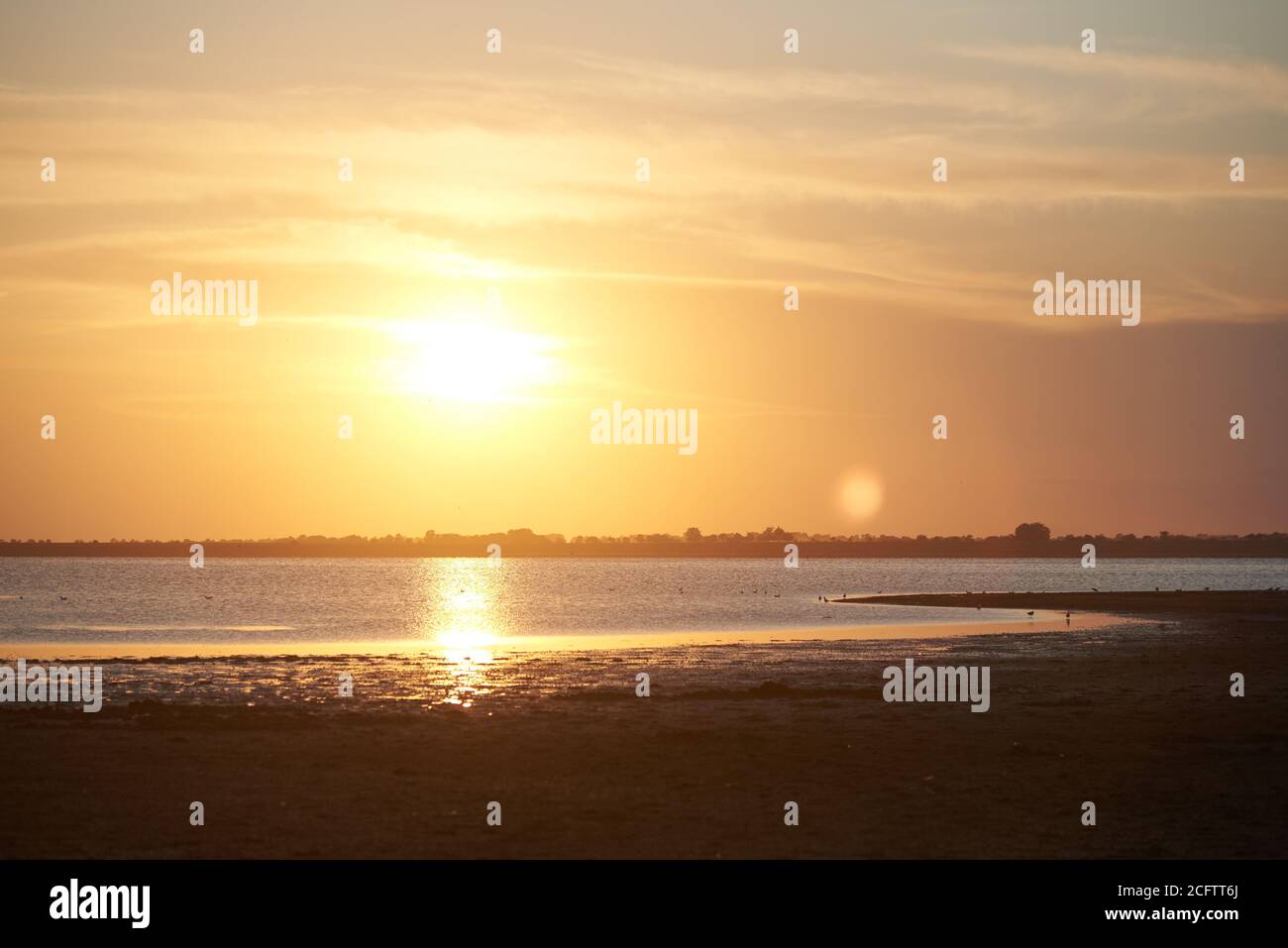 Low sun with reflection in water, seagull and yellow sky Stock Photo ...