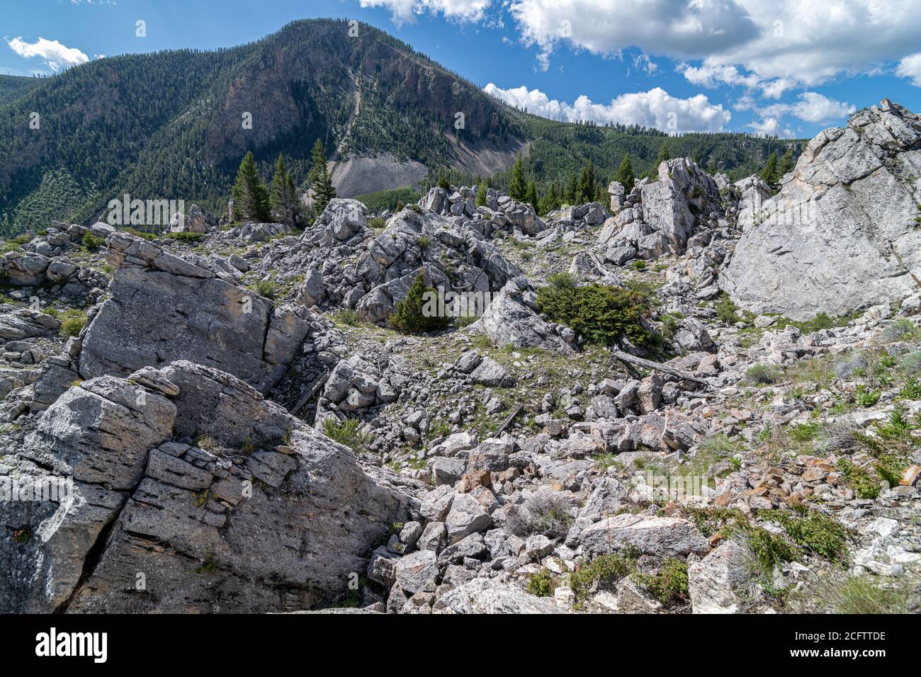 Silver gate hi-res stock photography and images - Alamy