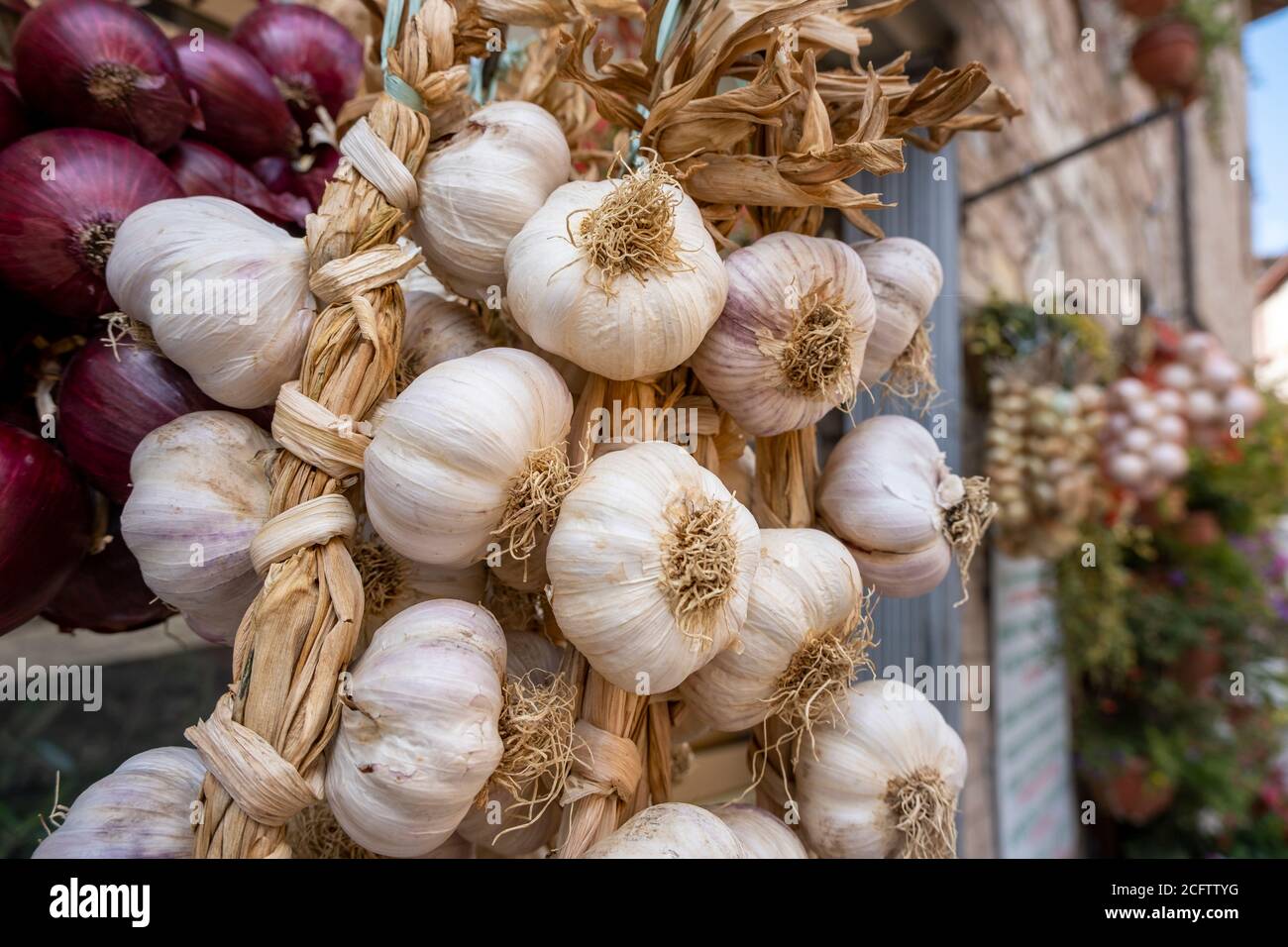 Bunch garlic on wall dried hi-res stock photography and images - Alamy