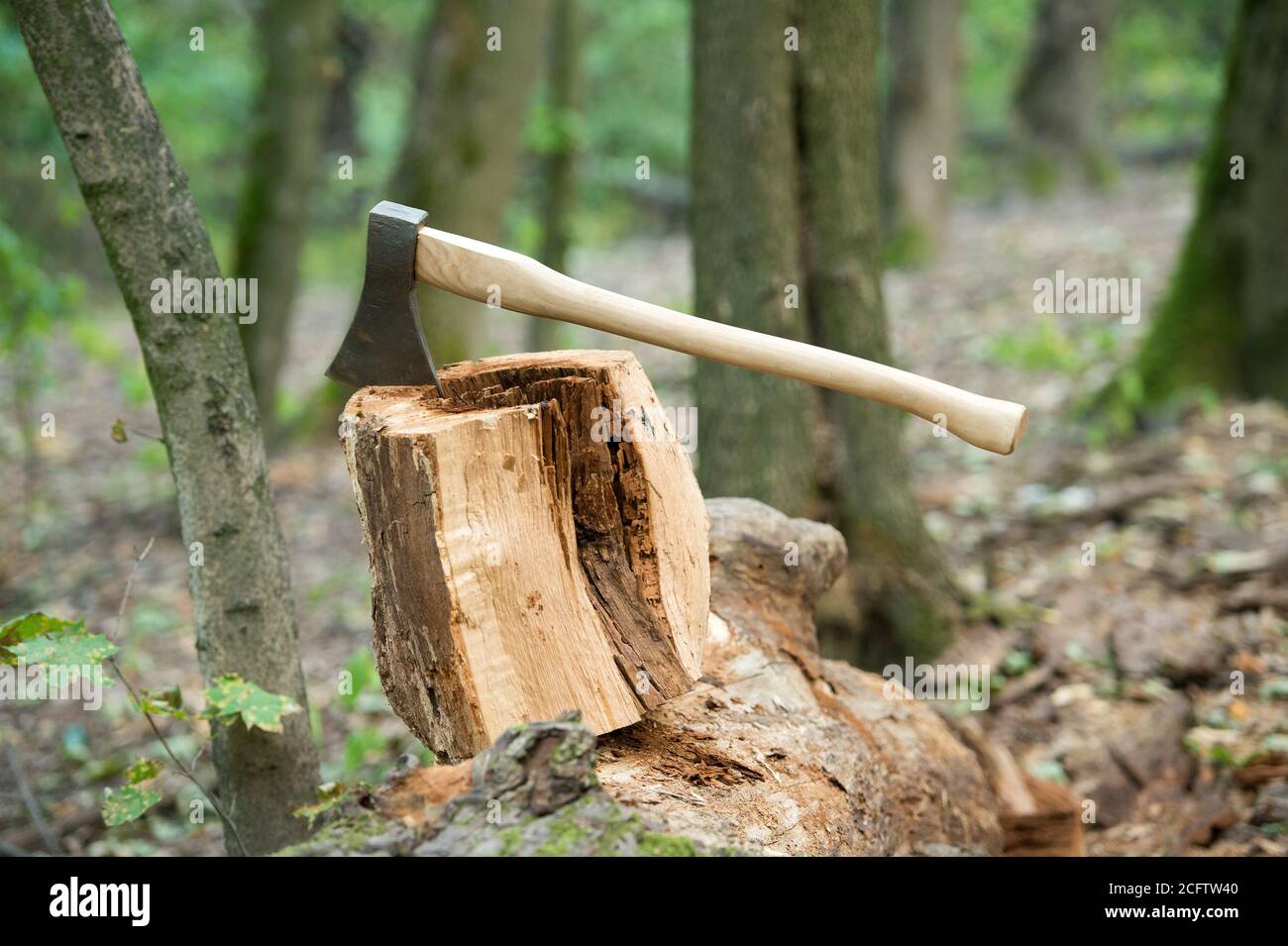 Split and cut. Large axe in stump. Splitting axe on natural landscape ...