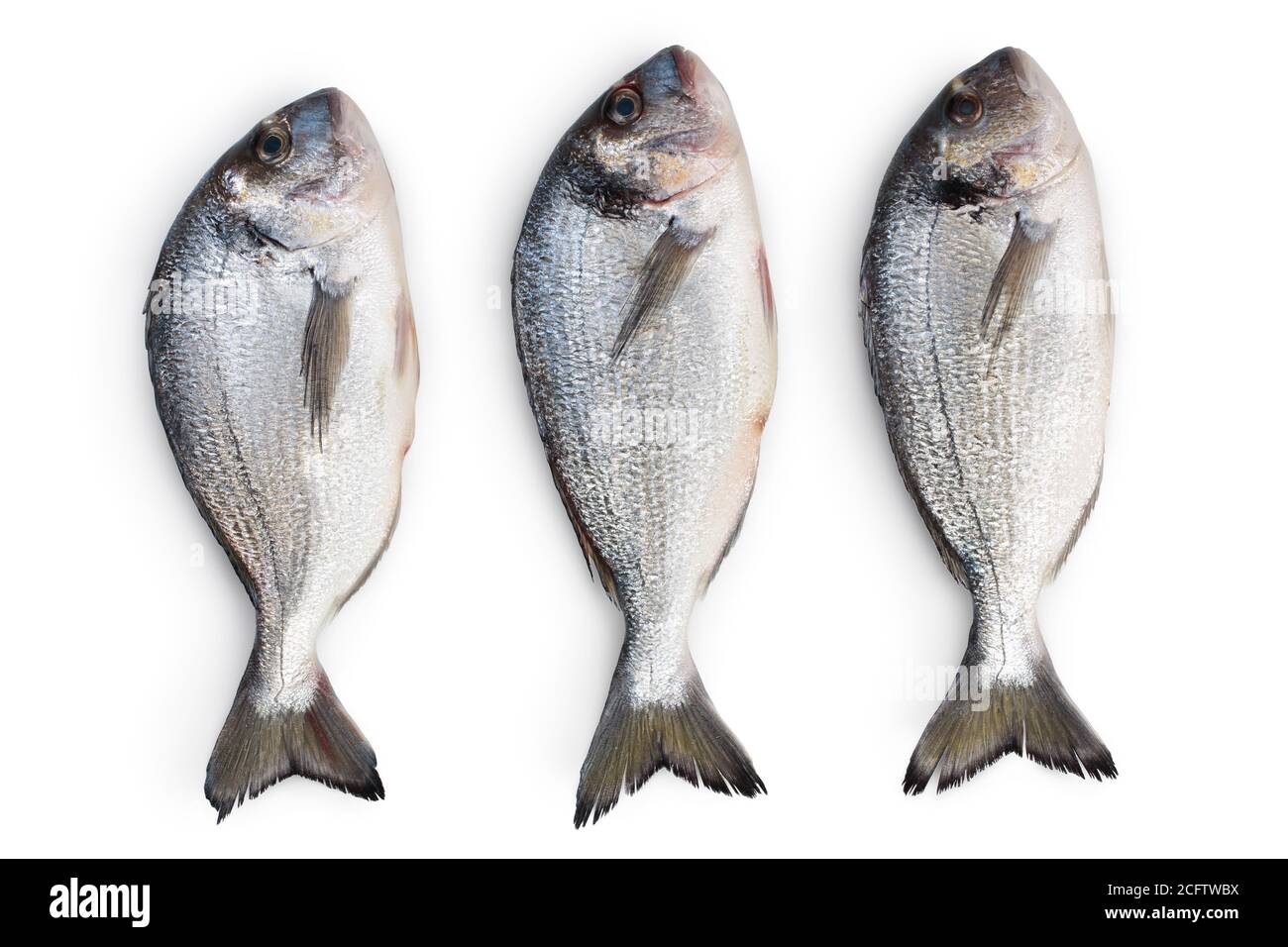 Joshua Fish's Instagram, Twitter & Facebook on IDCrawl