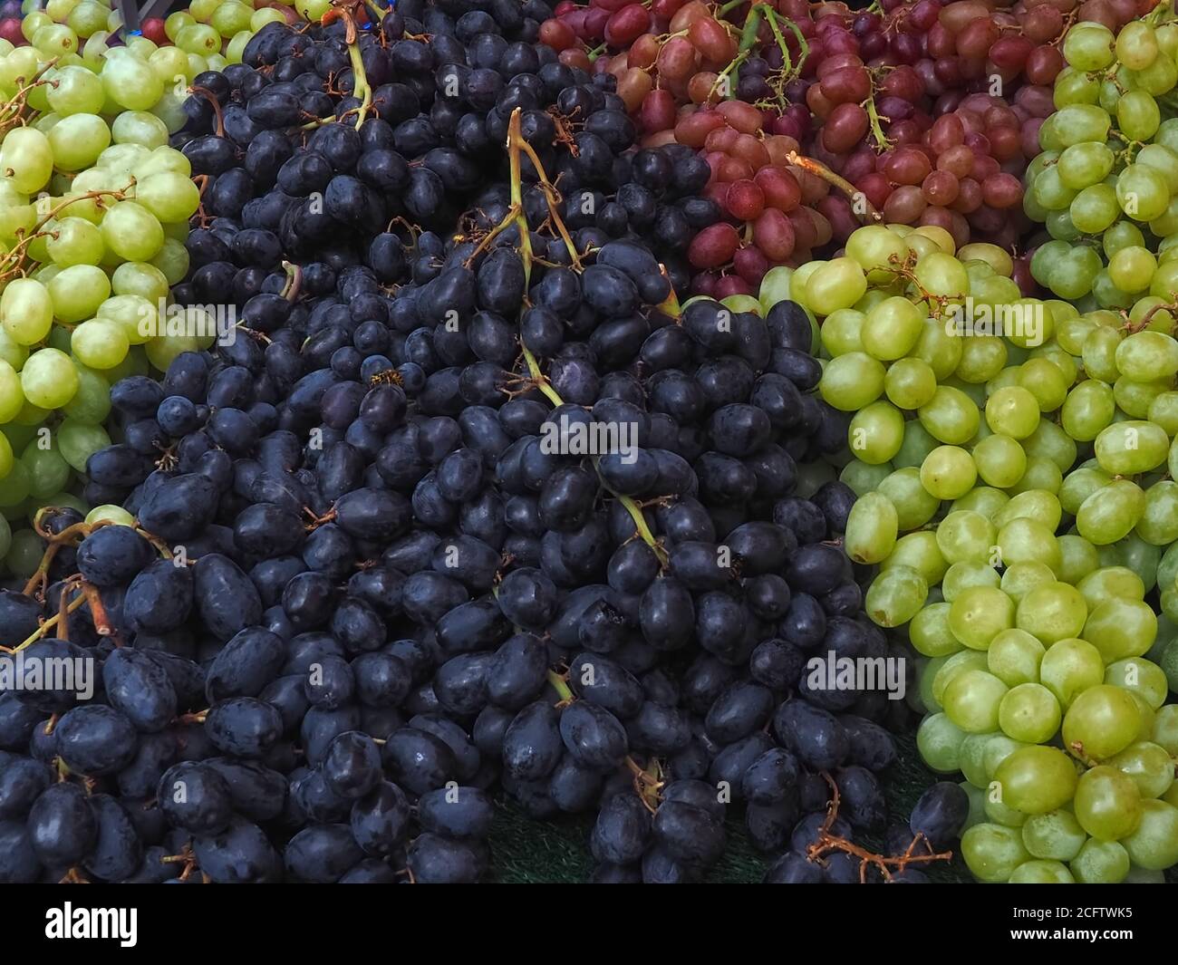 Sweet mix of blue, red and green grapes Stock Photo - Alamy