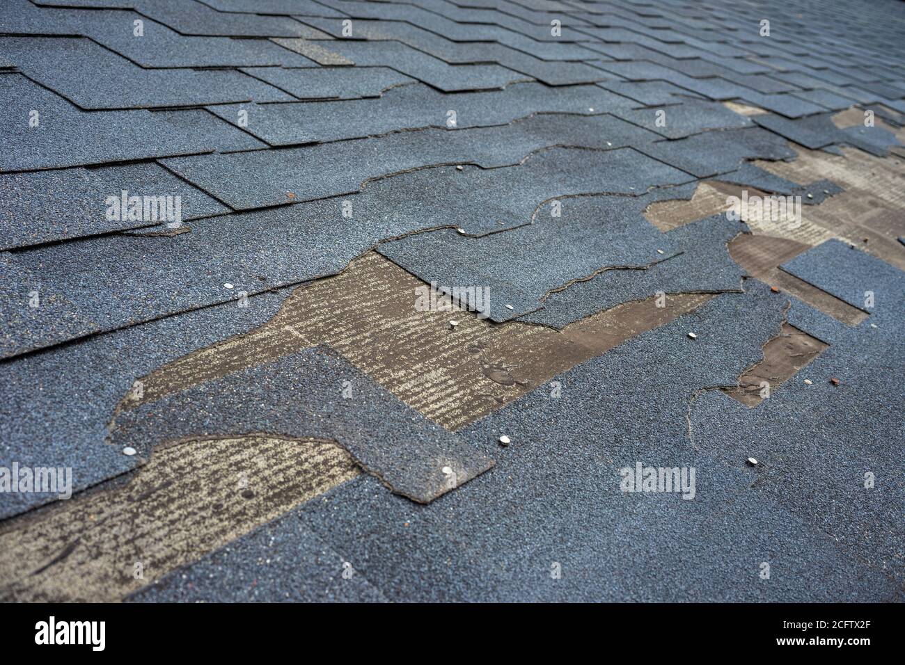 Сlose up view of bitumen shingles roof damage that needs repair Stock ...