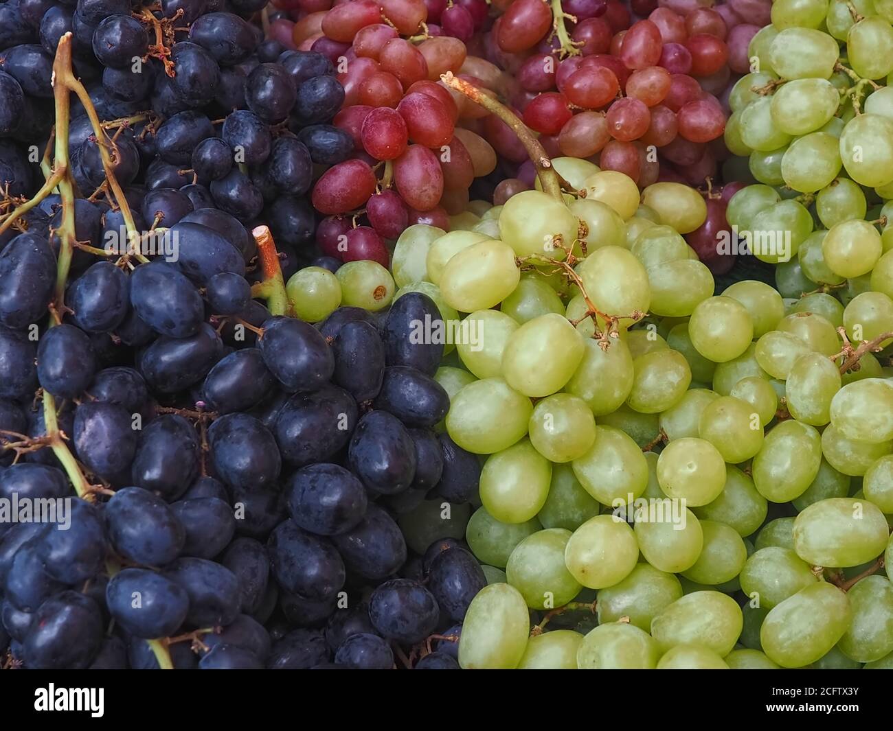 Sweet mix of blue, red and green grapes Stock Photo - Alamy