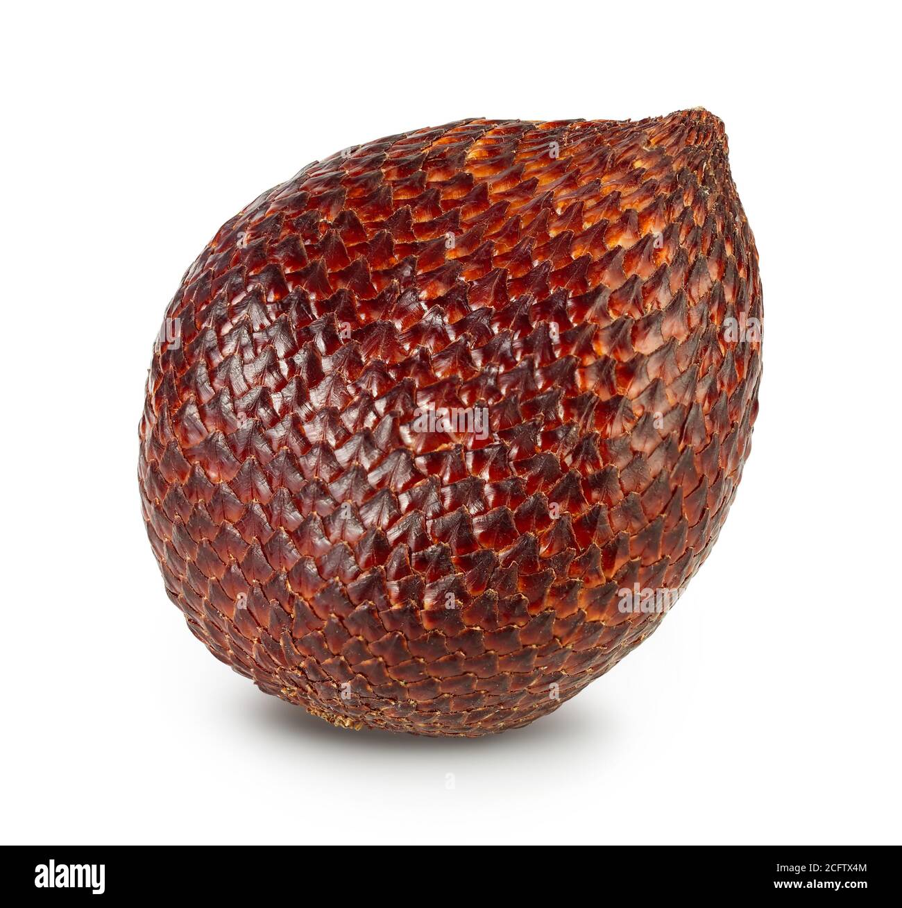 Single whole snake fruit isolated hi-res stock photography and images ...