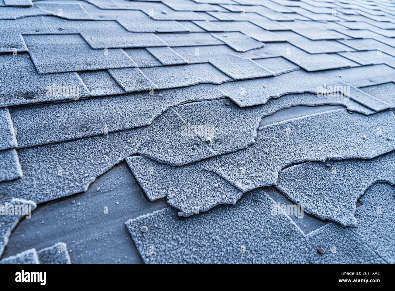Close up view on Asphalt Roofing Shingles roof damage covered with ...