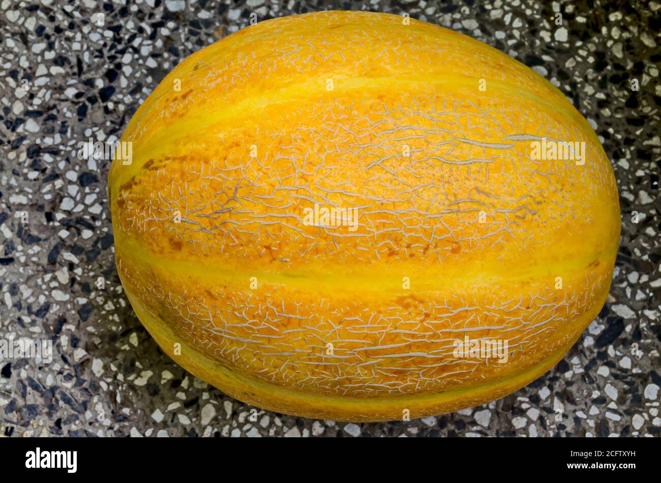Whole melon hi-res stock photography and images - Alamy