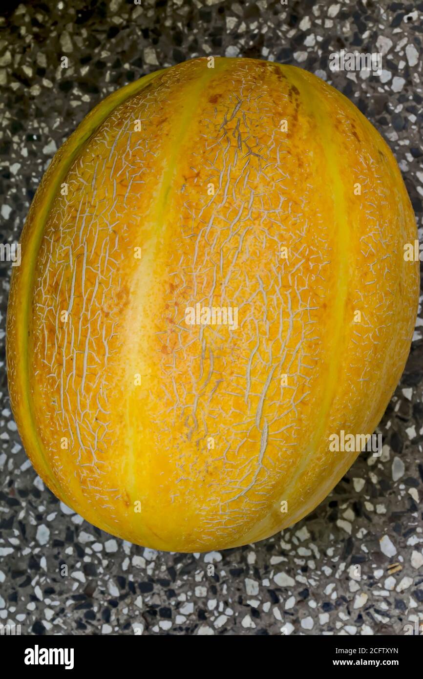 Close up skin texture melon hi-res stock photography and images - Alamy