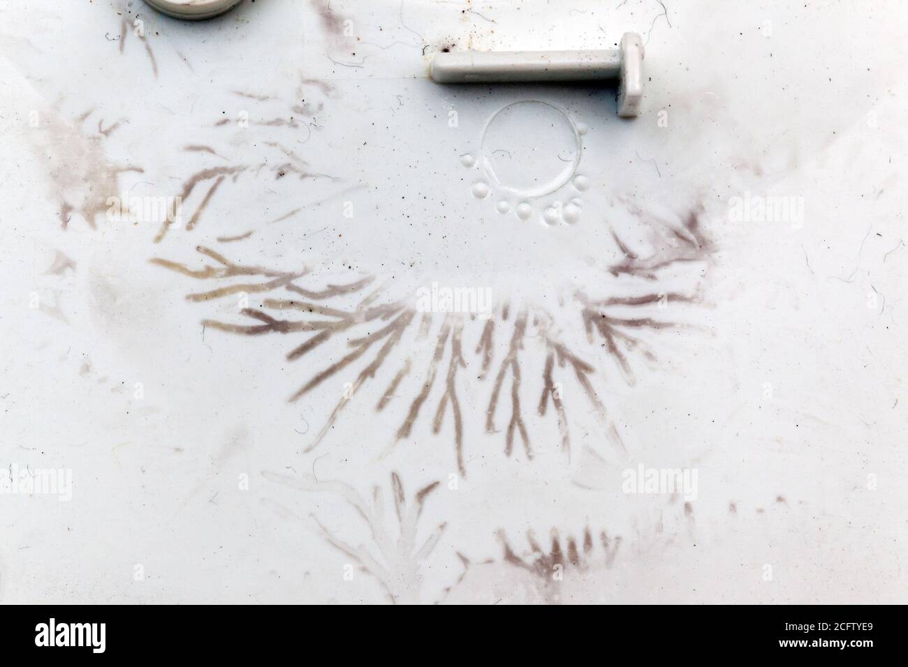 Lichtenberg patterns of contamination of electrostatic charge on ...
