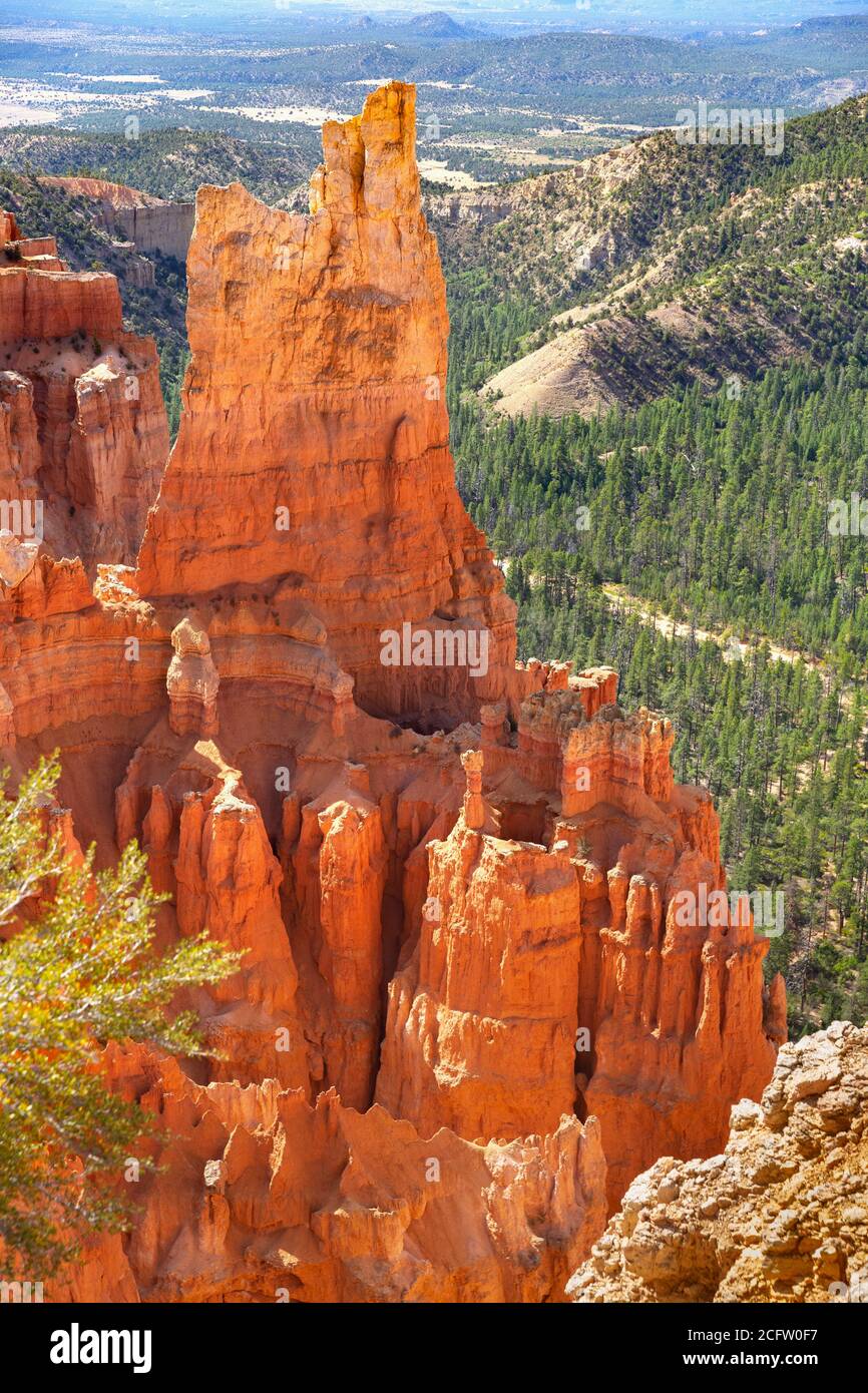 View of tall hoodoo, Bryce Canyon National Park, Utah, USA Stock Photo ...