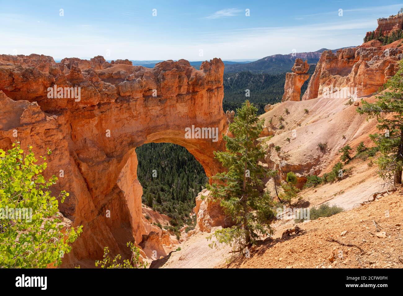 Natural Bridge Arch, Bryce Canyon National Park, Utah, USA Stock Photo ...