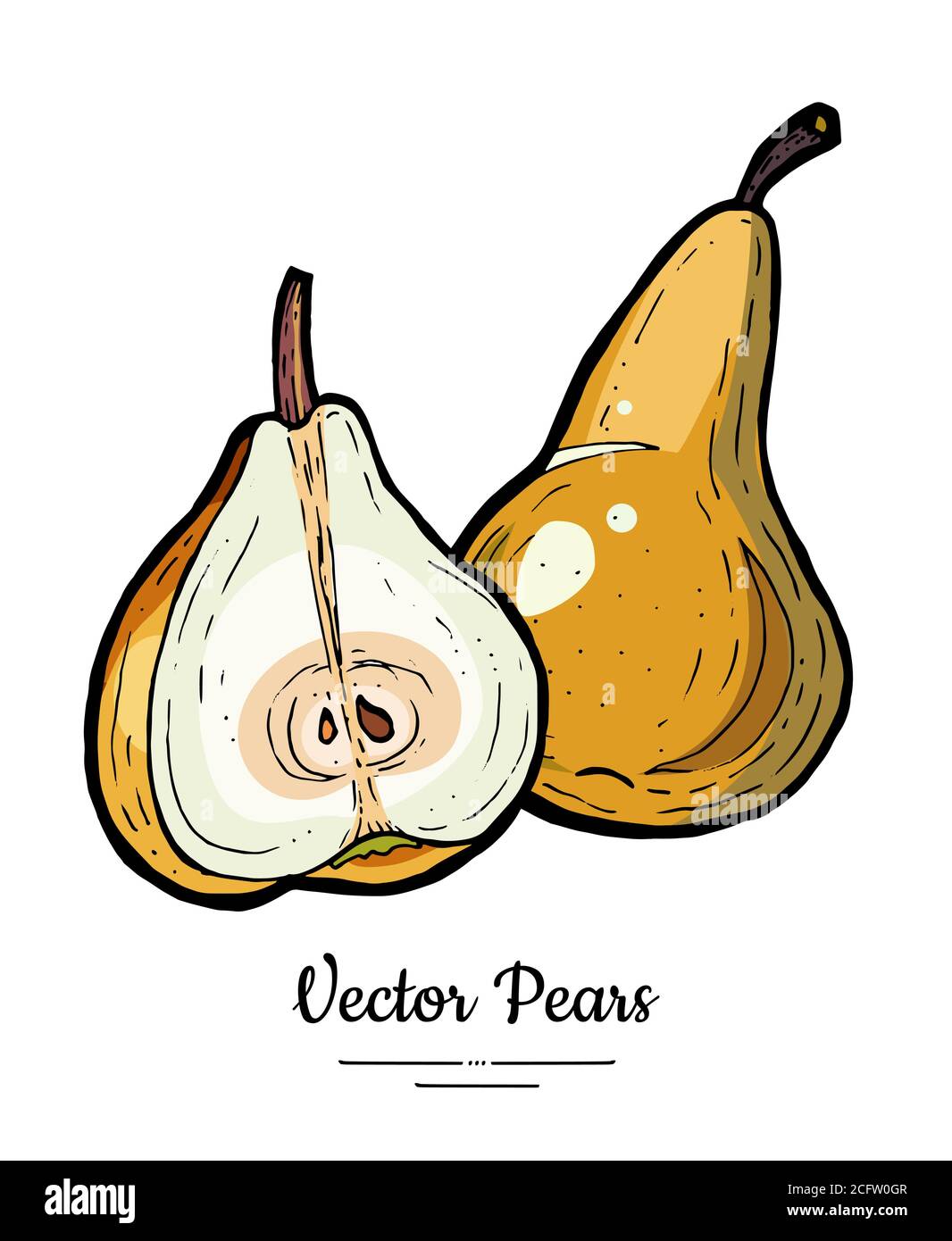 Pears fruits vector isolate. Brown pear whole chopped half cut slice ...