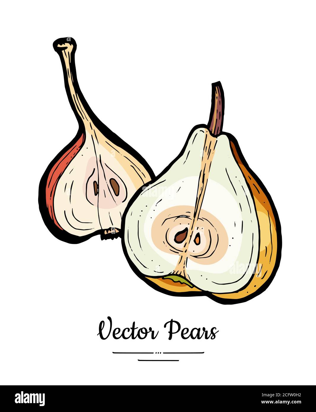 Pears fruit vector isolate. Yellow pear whole chopped half cut slice ...