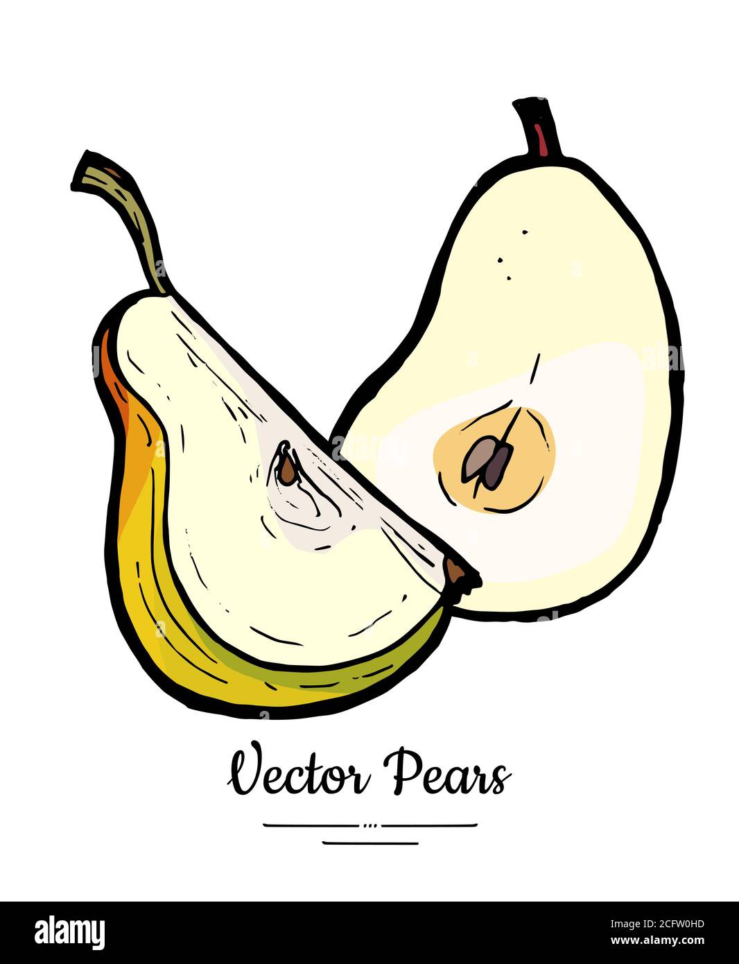 Pears fruits vector isolate. Green pear half cut chopped quarter slice ...