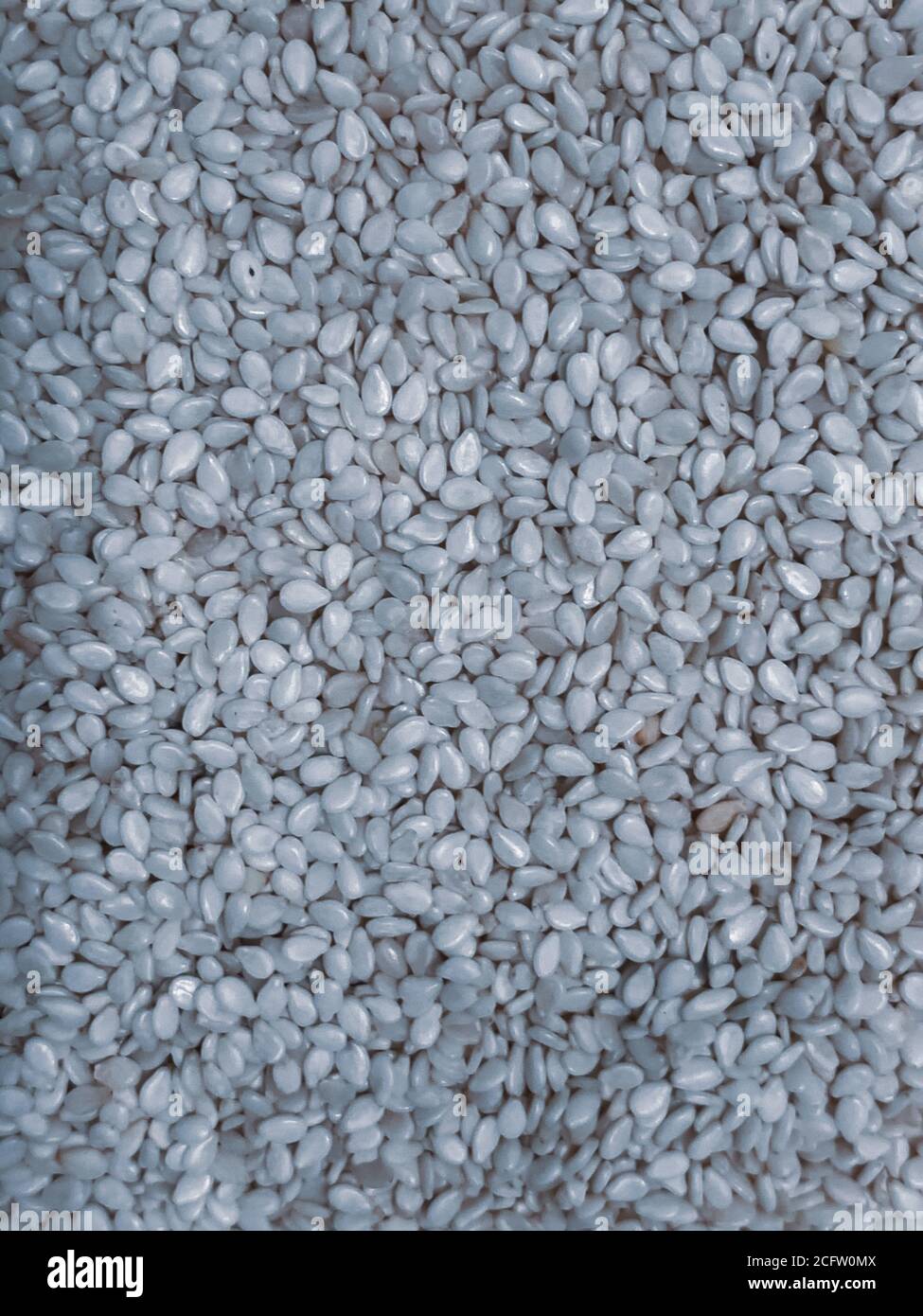 Vertical closeup shot of edible grey seeds Stock Photo - Alamy